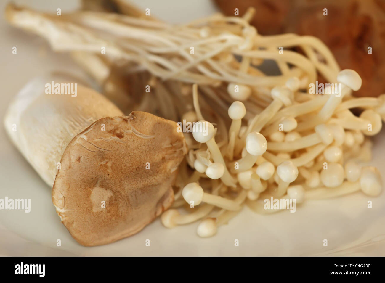 Scallop, Enoki and Swiss Brown Mushroom Mix Stock Photo - Alamy