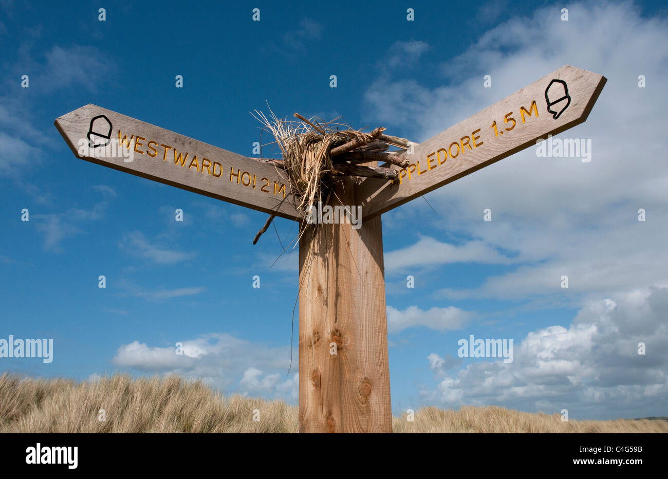 Northam devon hi-res stock photography and images - Alamy