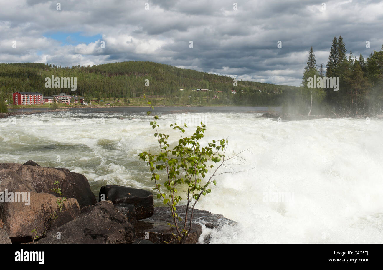 Storforsen falls hi-res stock photography and images - Alamy