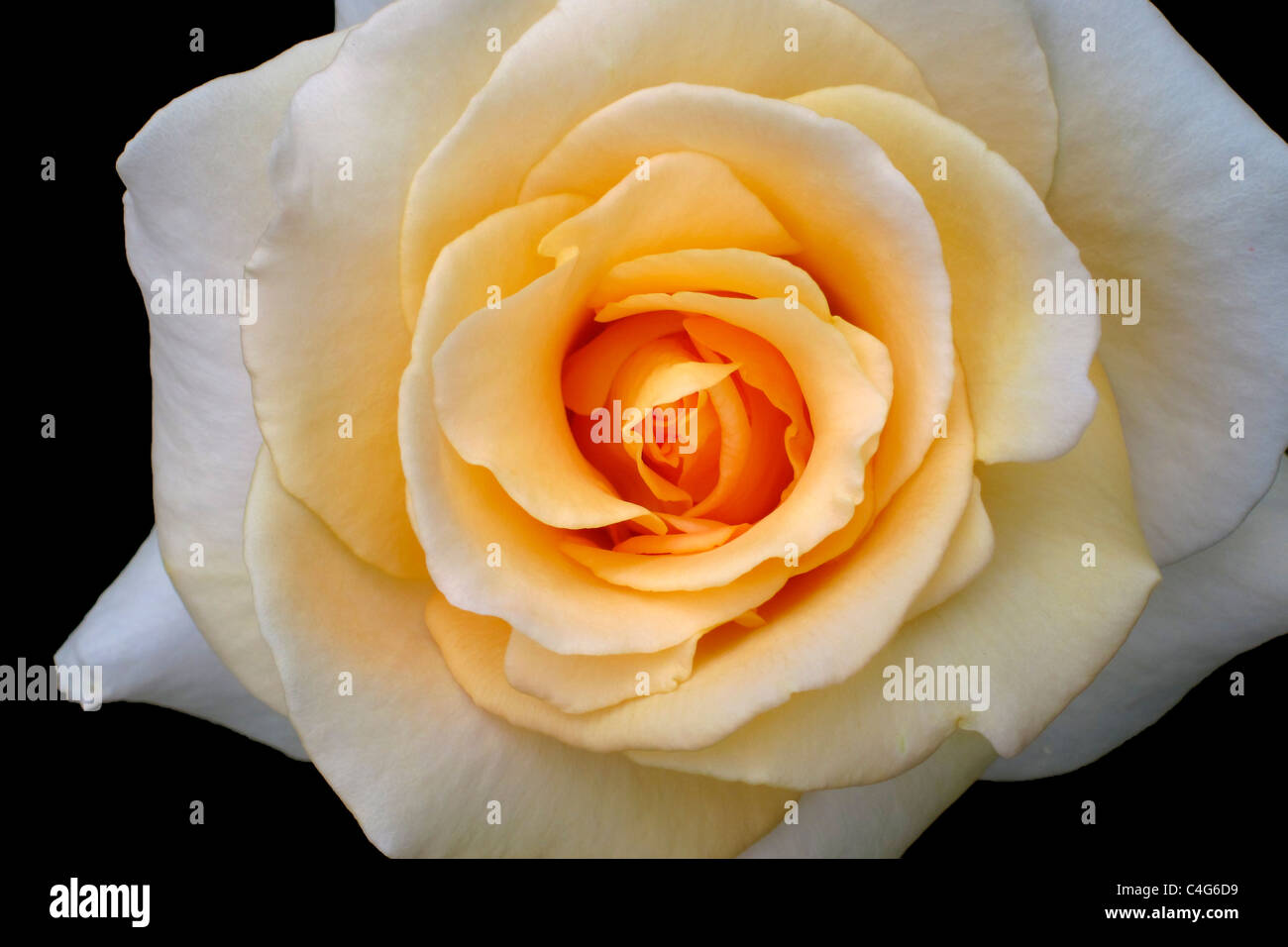 Always remember hi-res stock photography and images - Alamy