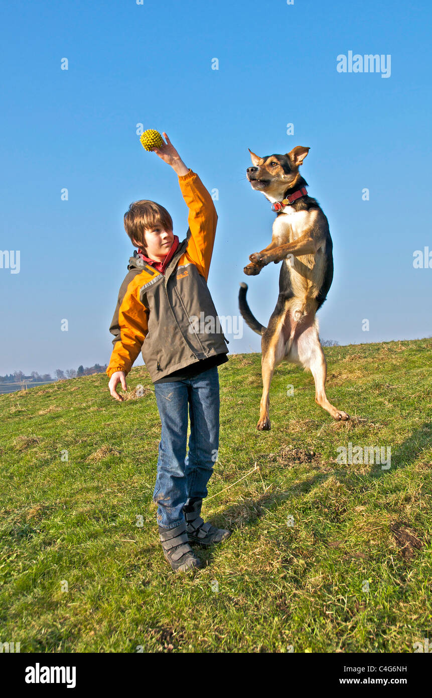 boy playing with half breed dog Stock Photo - Alamy