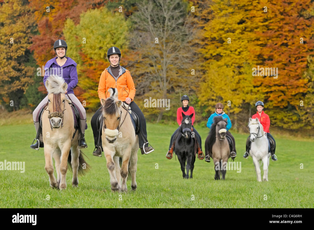 five women - riding Stock Photo - Alamy