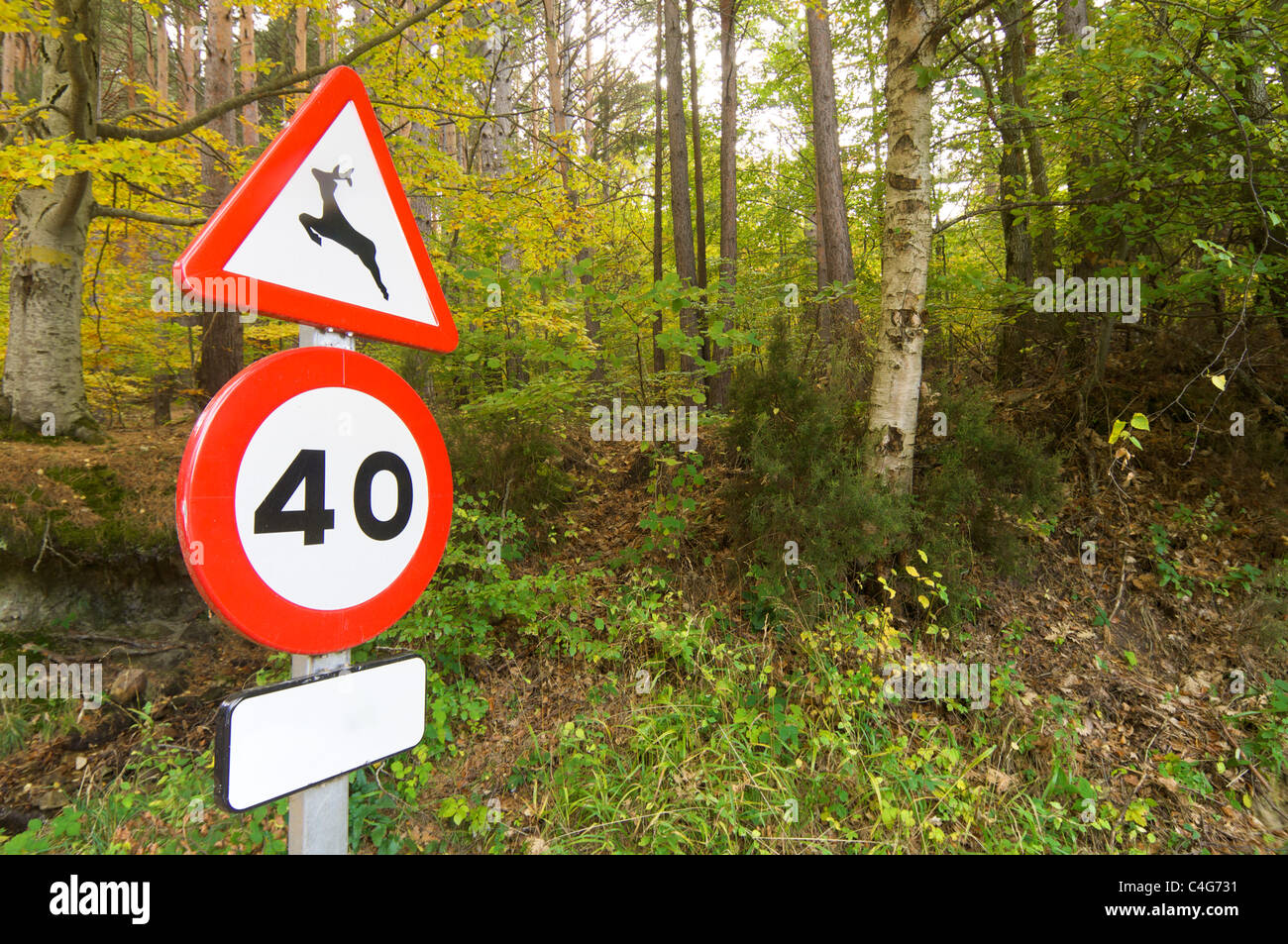wildlife signal in a forest Stock Photo - Alamy