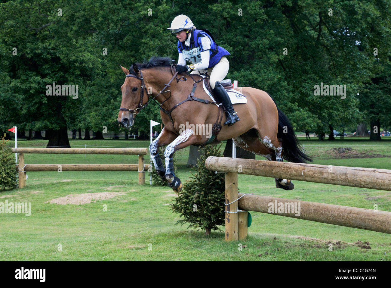 Sarah Cohen on Irish Jester Stock Photo - Alamy