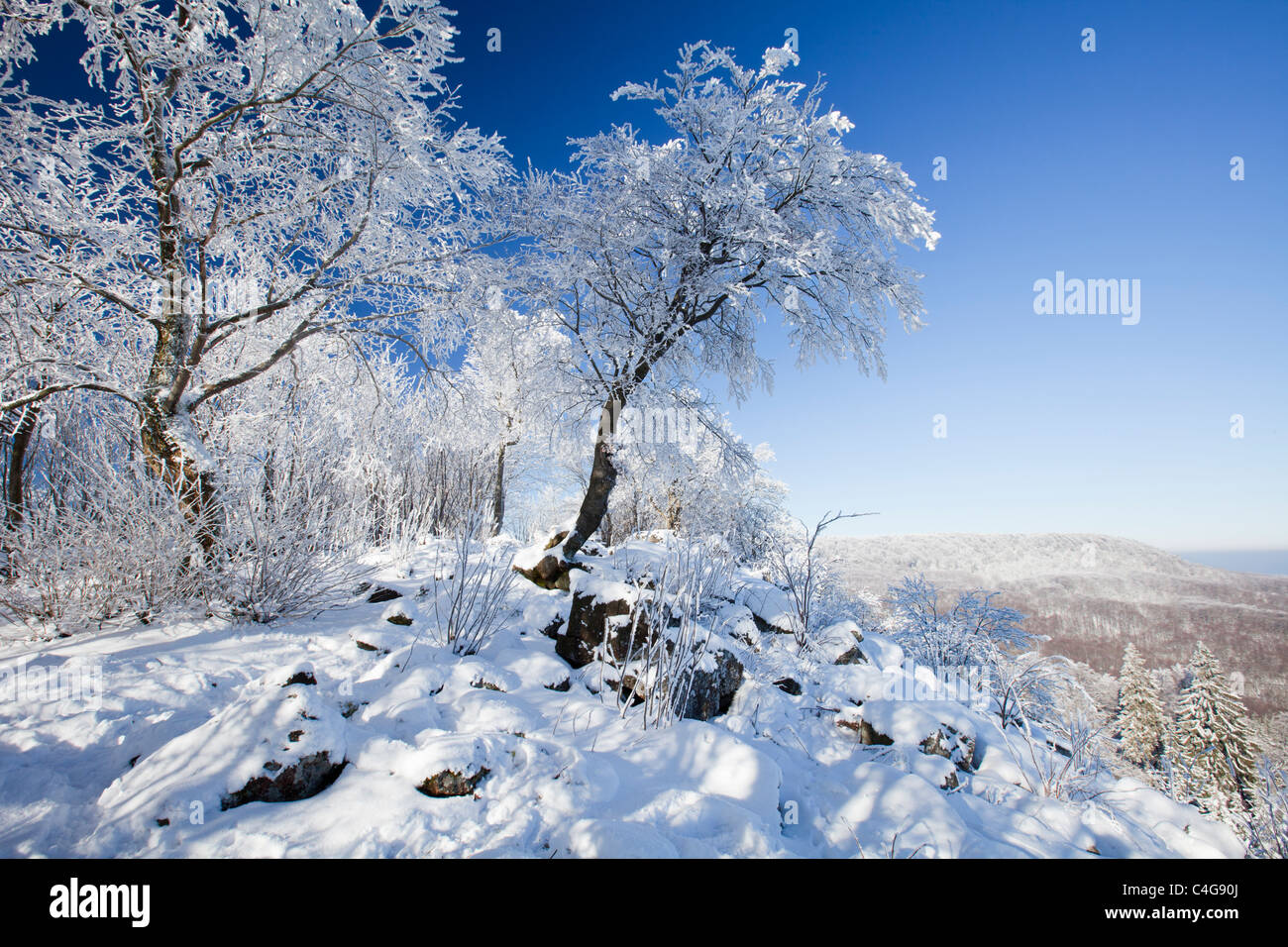 Hoher meissner hi-res stock photography and images - Alamy