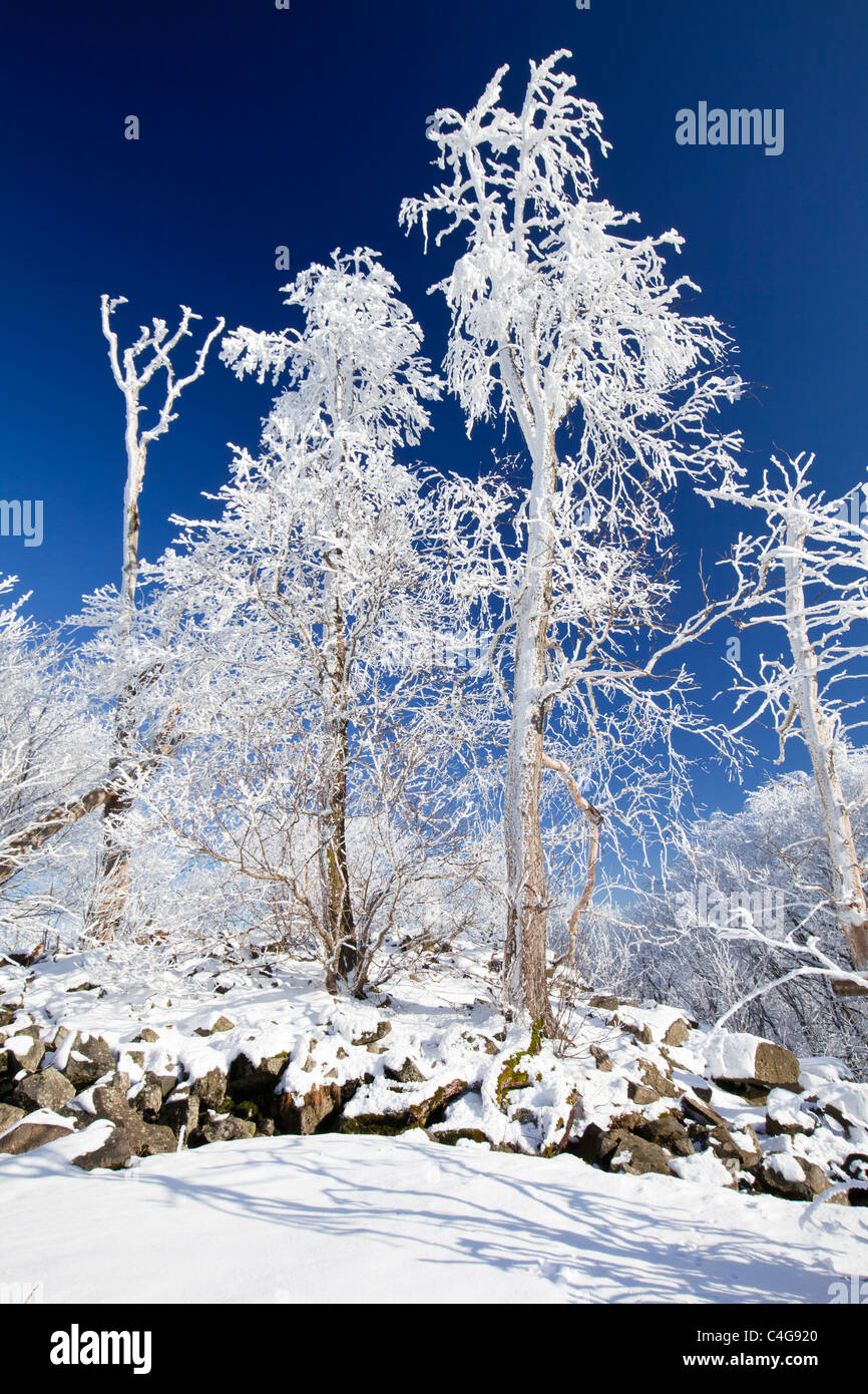 Hoher meissner hi-res stock photography and images - Alamy