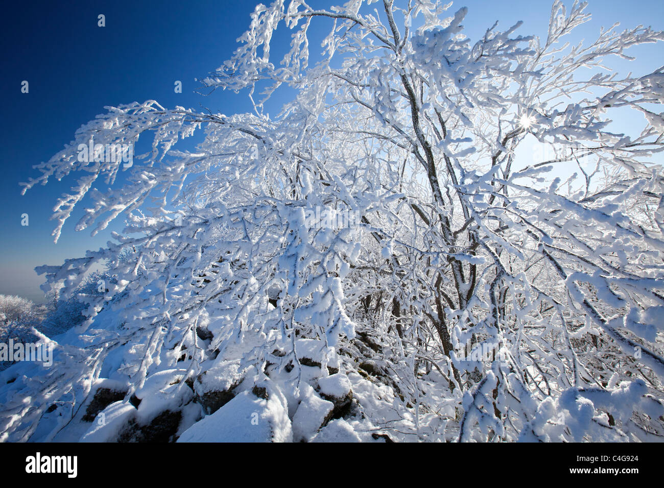 Hoher meissner hi-res stock photography and images - Alamy