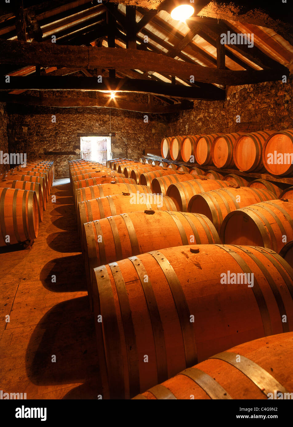 Barrels of French armagnac at small cellar in Gascogne district Stock ...