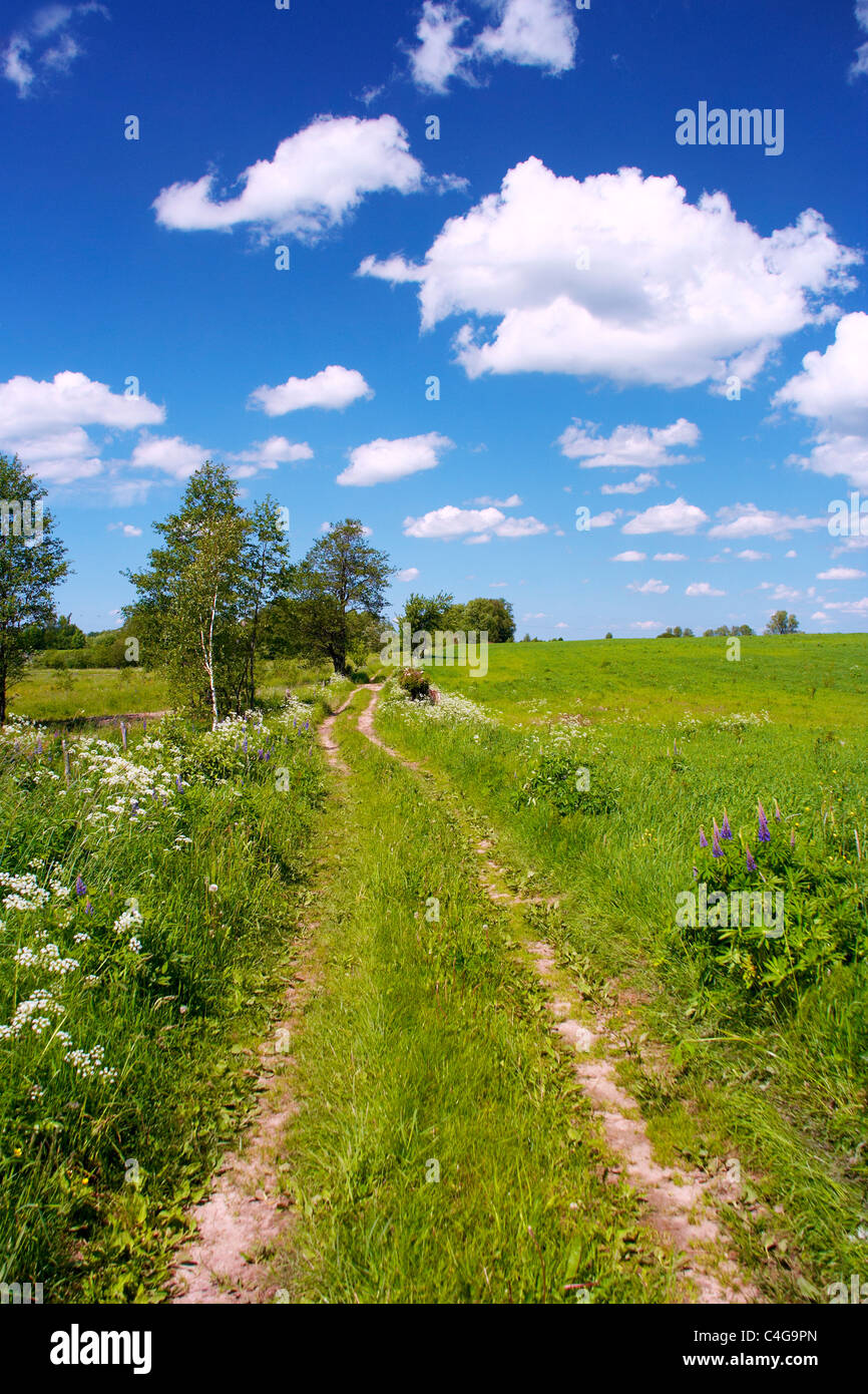 Cartway hi-res stock photography and images - Alamy