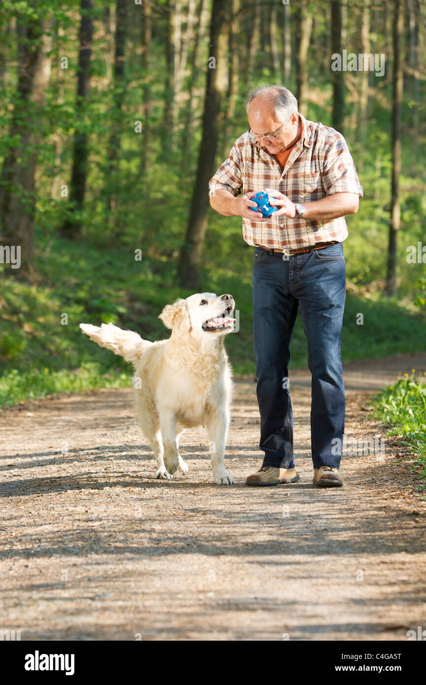 Golden Retriever dog and man - playing Stock Photo - Alamy