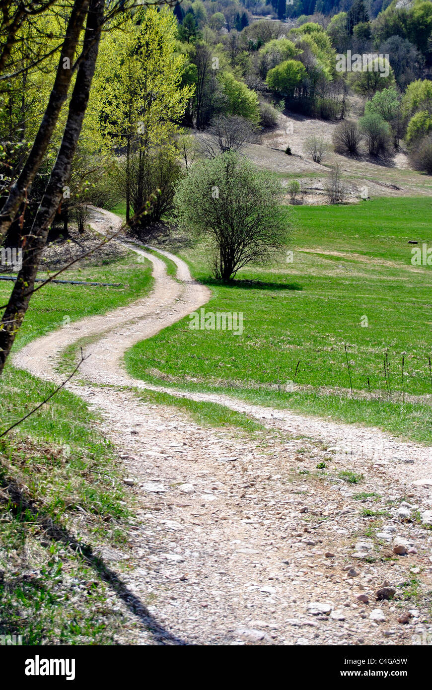 beautiful path in Italian Alps Stock Photo - Alamy