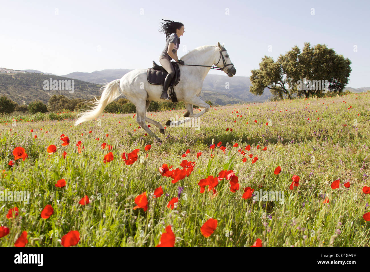 White Lady Rider With Horse