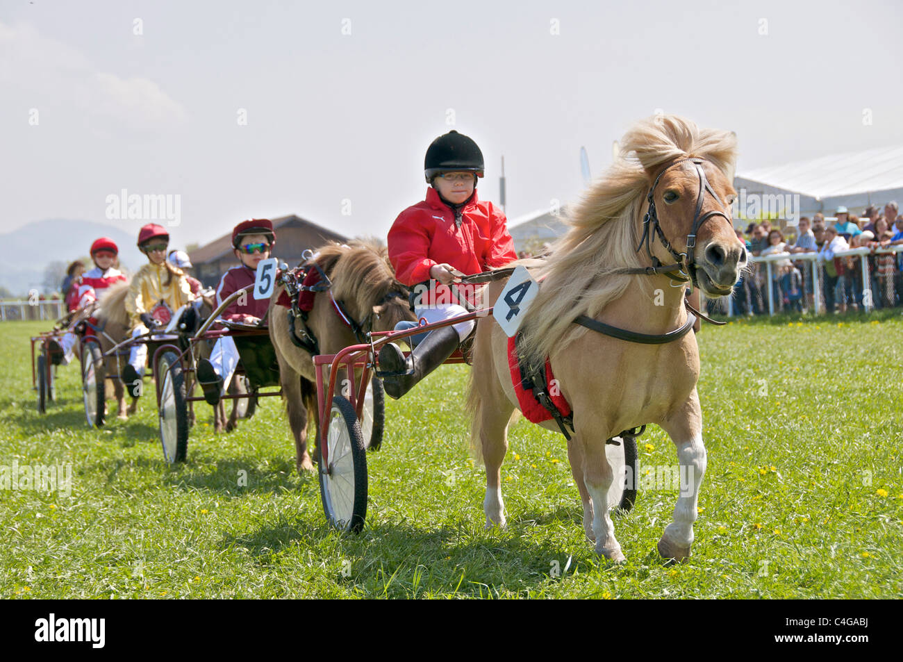 children at a Trotting race Stock Photo - Alamy