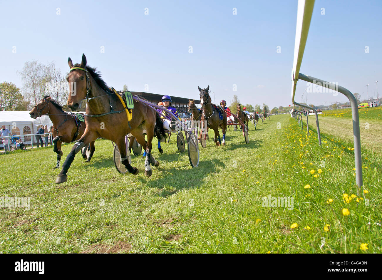Trotting race hi-res stock photography and images - Alamy