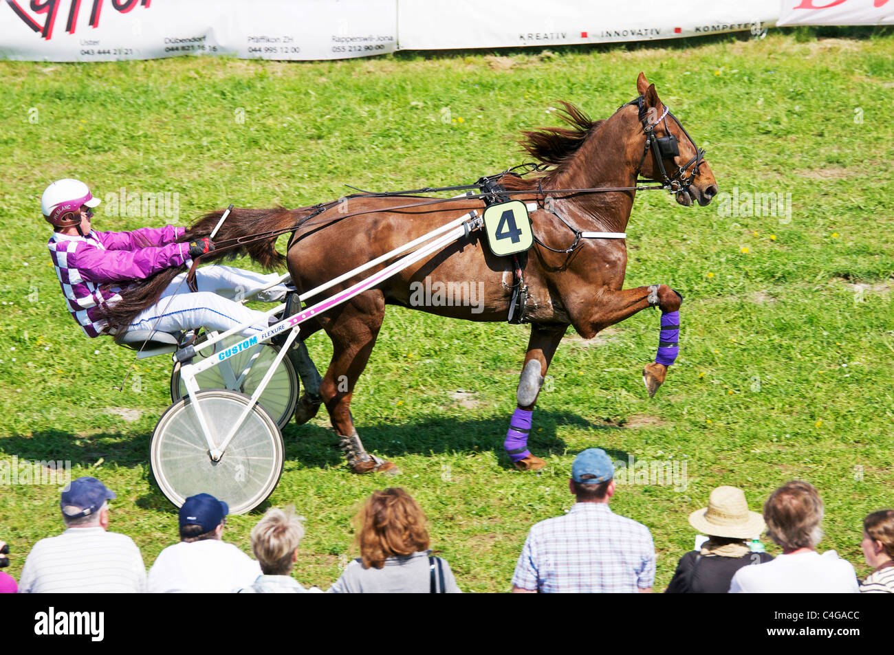 Trotting race hi-res stock photography and images - Alamy