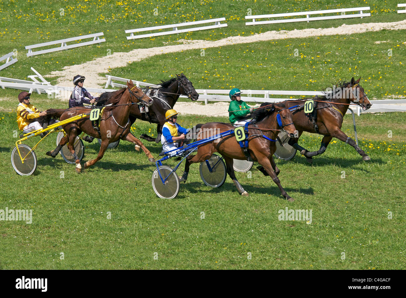 Trotting race hi-res stock photography and images - Alamy