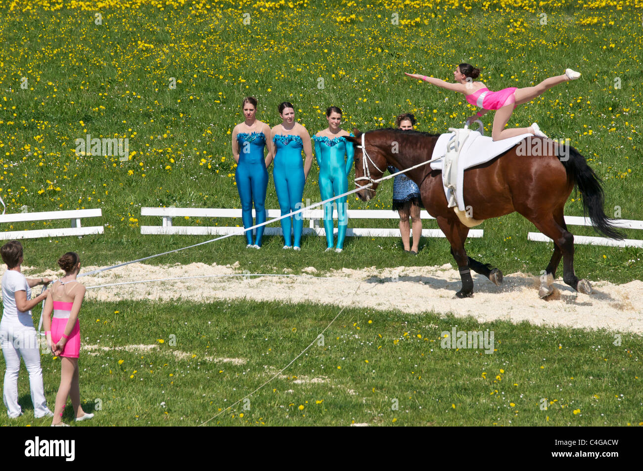 young woman on horse - Equestrian vaulting Stock Photo - Alamy
