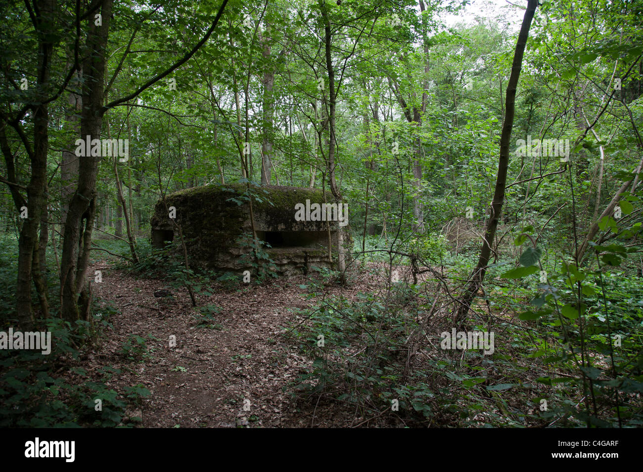 A First World War bunker in Ploegsteert Wood in Belgium Stock Photo - Alamy