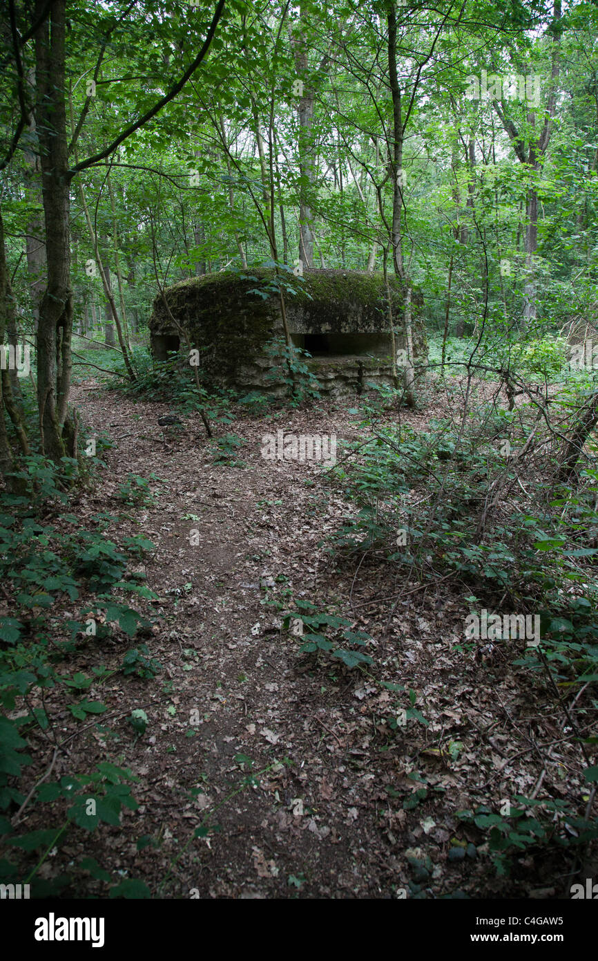 Ploegsteert wood hi-res stock photography and images - Alamy