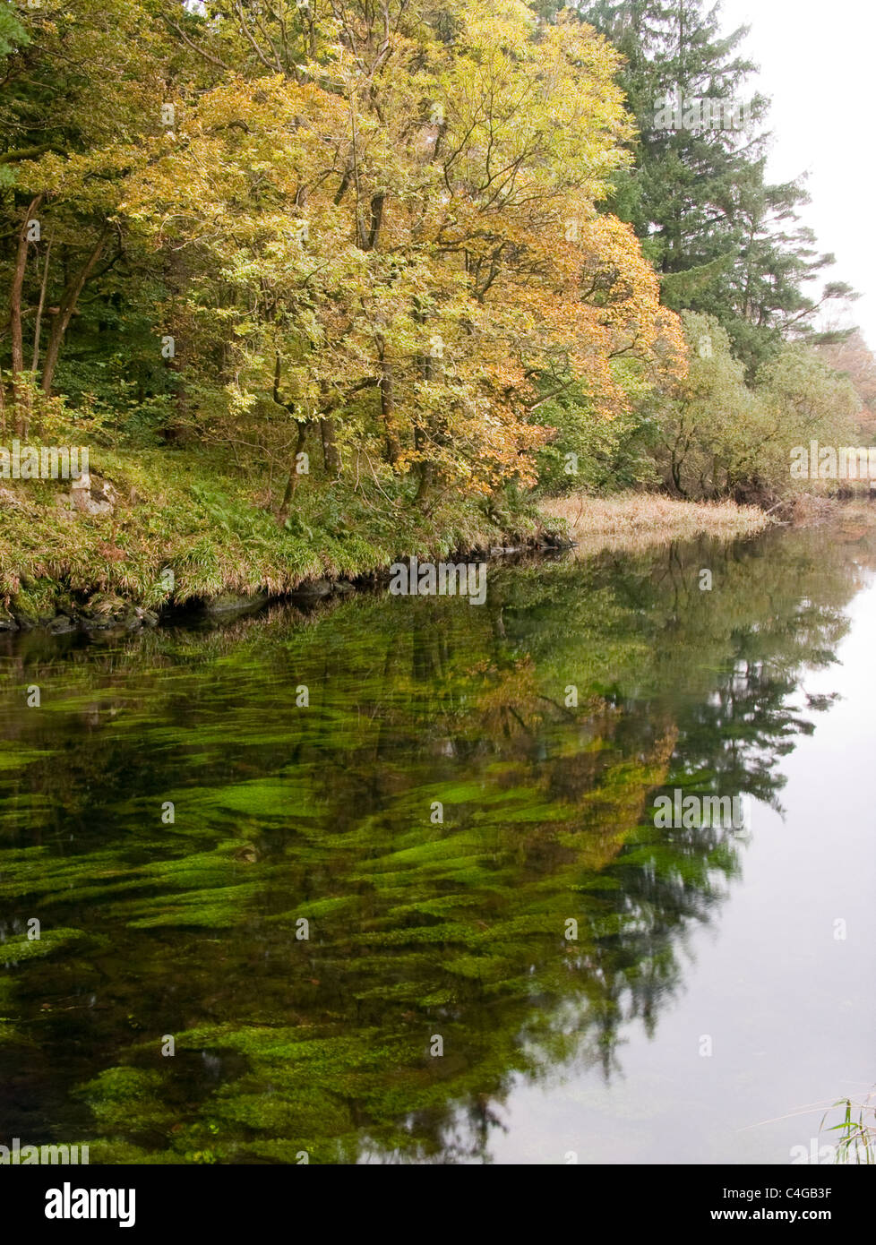 Stretch of river hi-res stock photography and images - Alamy