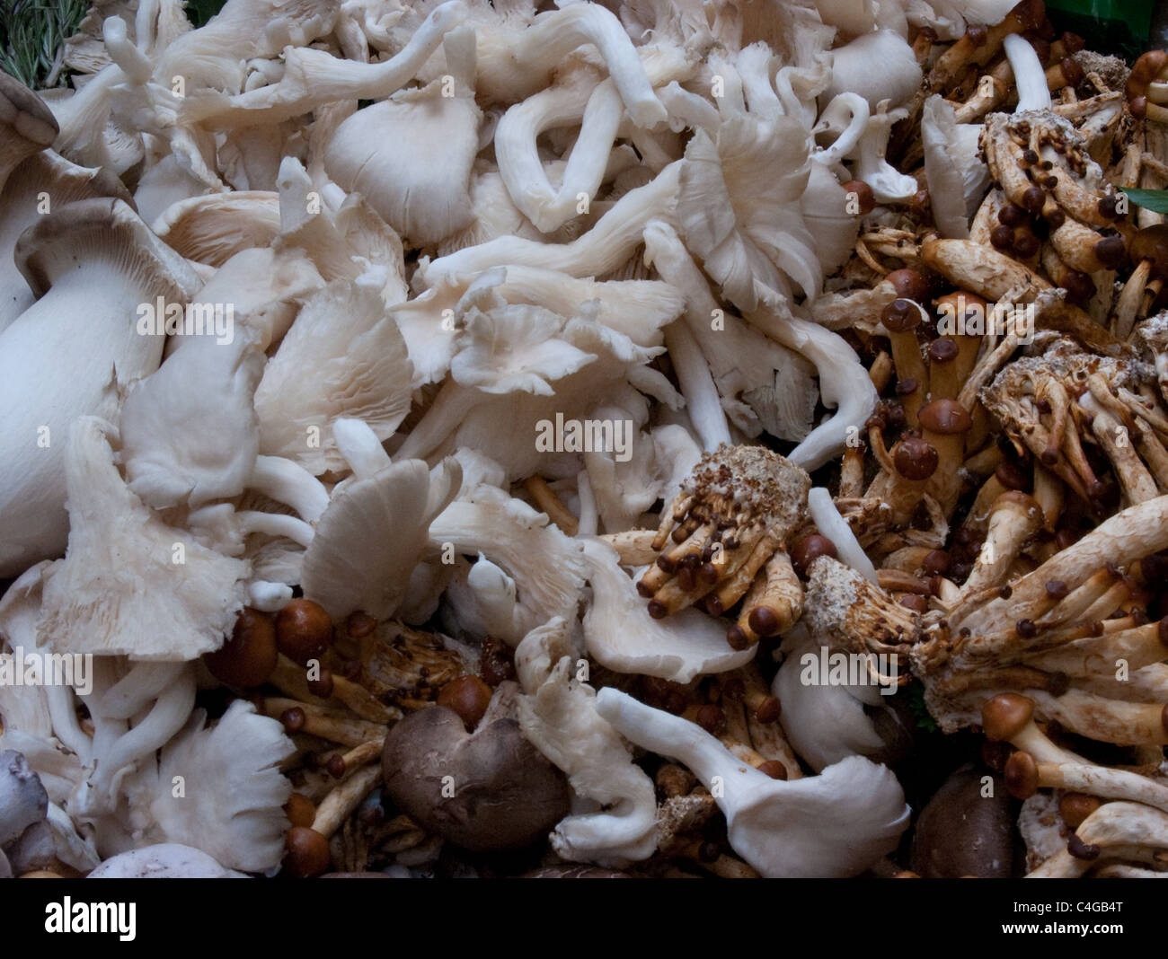 Stall with mushrooms hi-res stock photography and images - Alamy