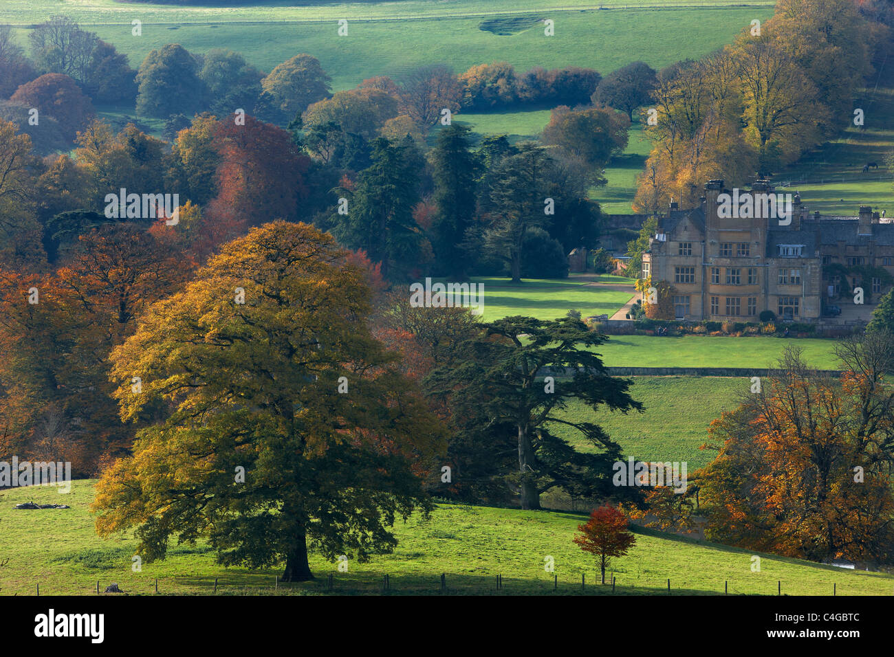 Countryside dorset england fall foliage gardens hi-res stock ...