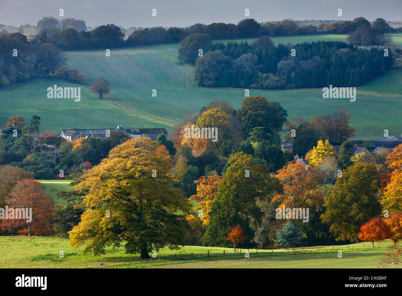 Minterne Magna, Dorset, England Stock Photo - Alamy