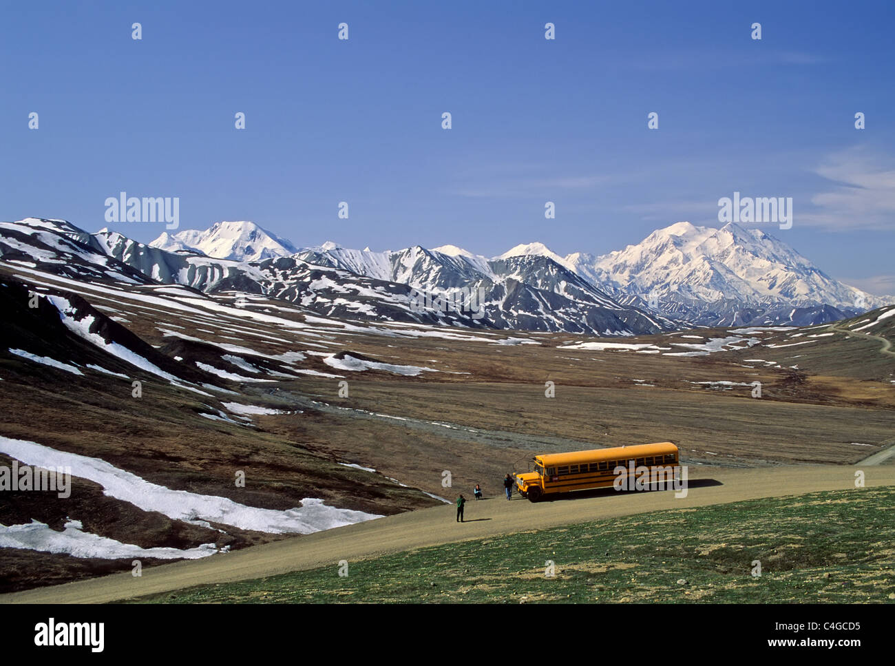 Tour buses on park road with Mount McKinley and the Alaska Range in ...