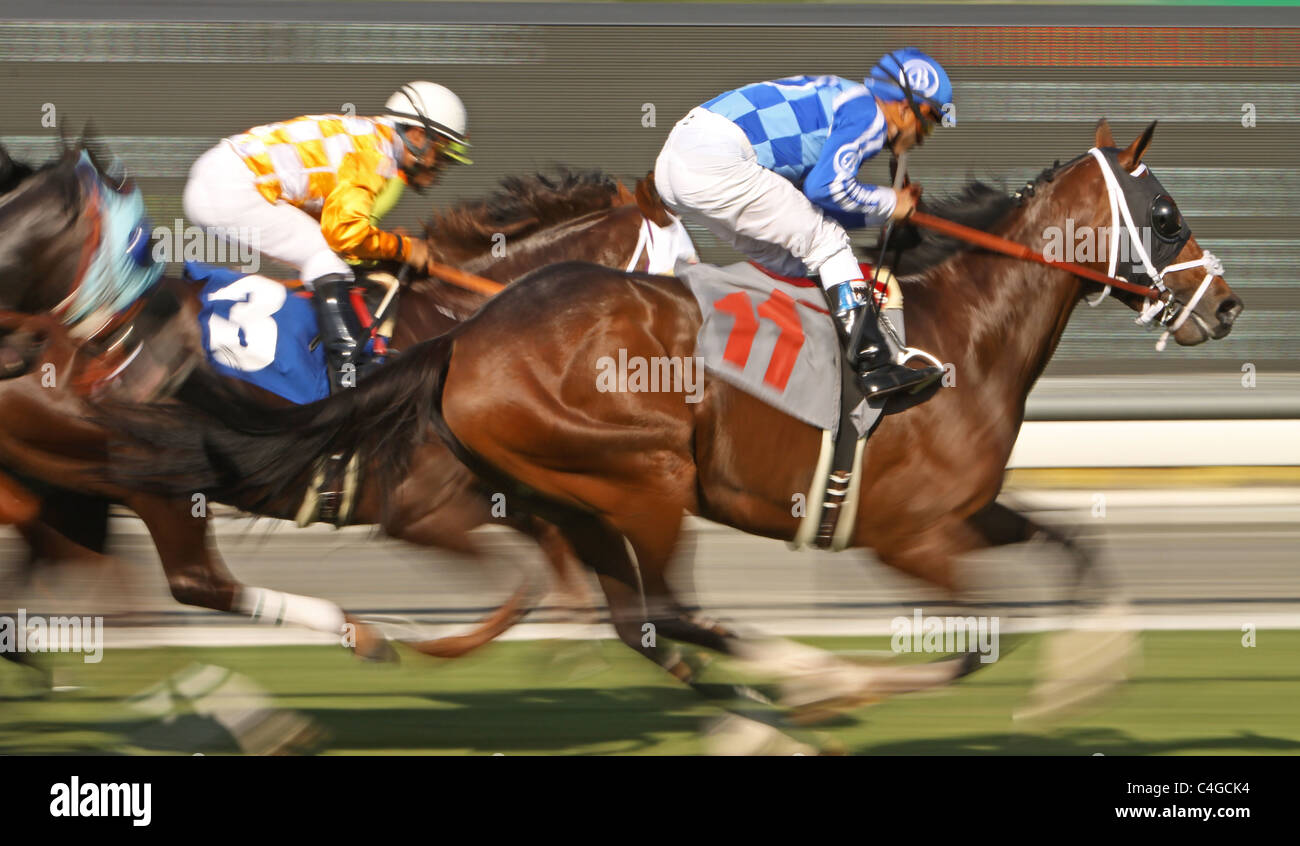 Ride Like the Wind Stock Photo - Alamy