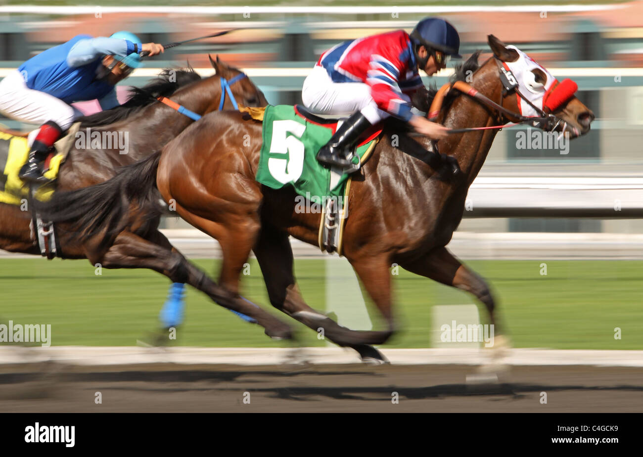 Down royal race course hi-res stock photography and images - Alamy