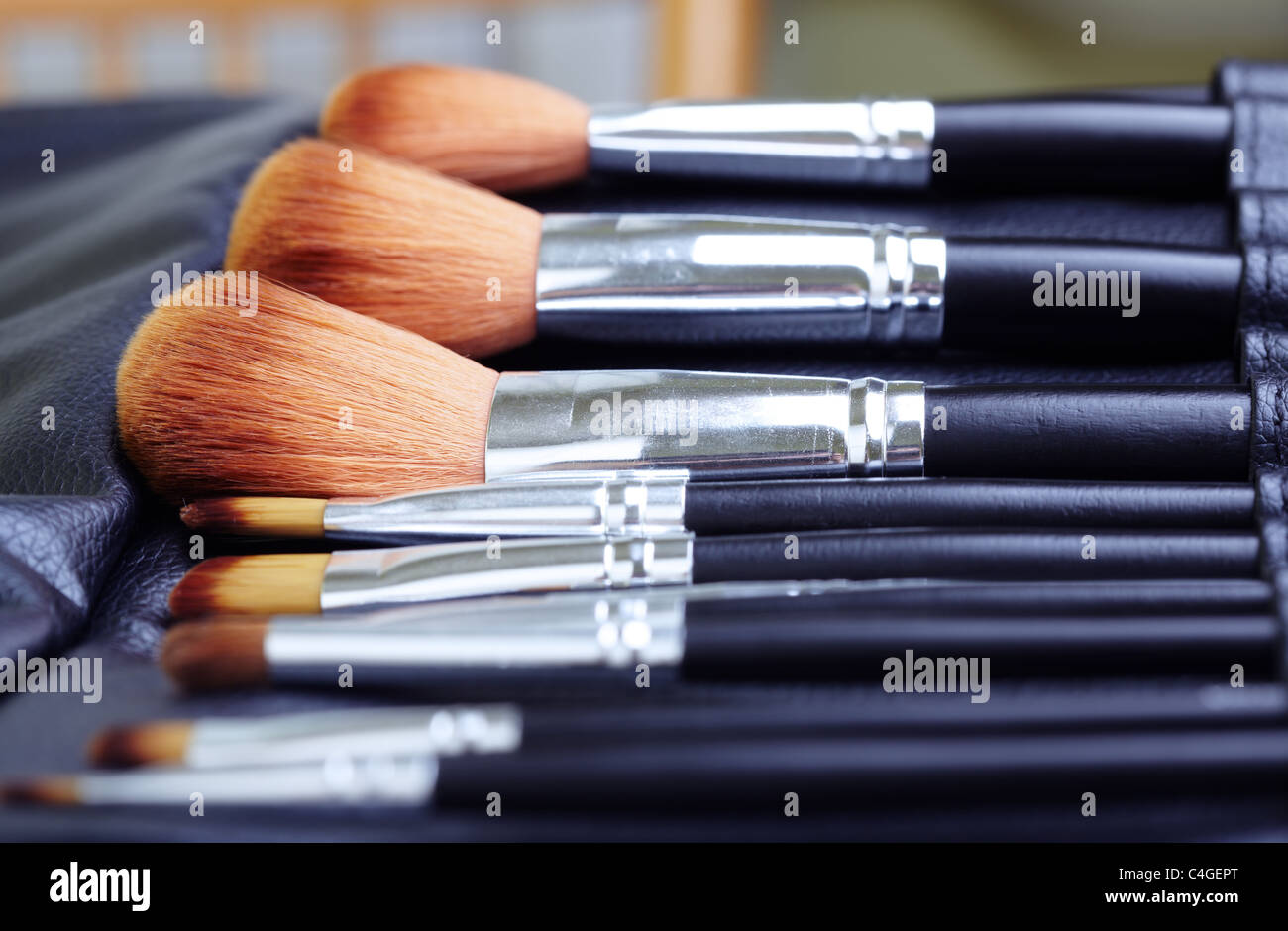 Close-up photo of the professional makeup brush set with leather cover ...