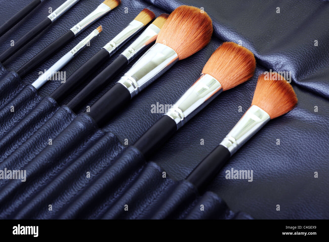 Close-up photo of the professional makeup brush set with leather cover ...
