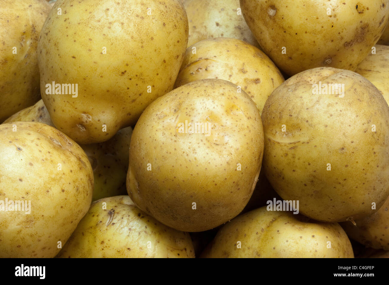 Potato (Solanum tuberosum Auralia). Close-up of tubers Stock Photo - Alamy