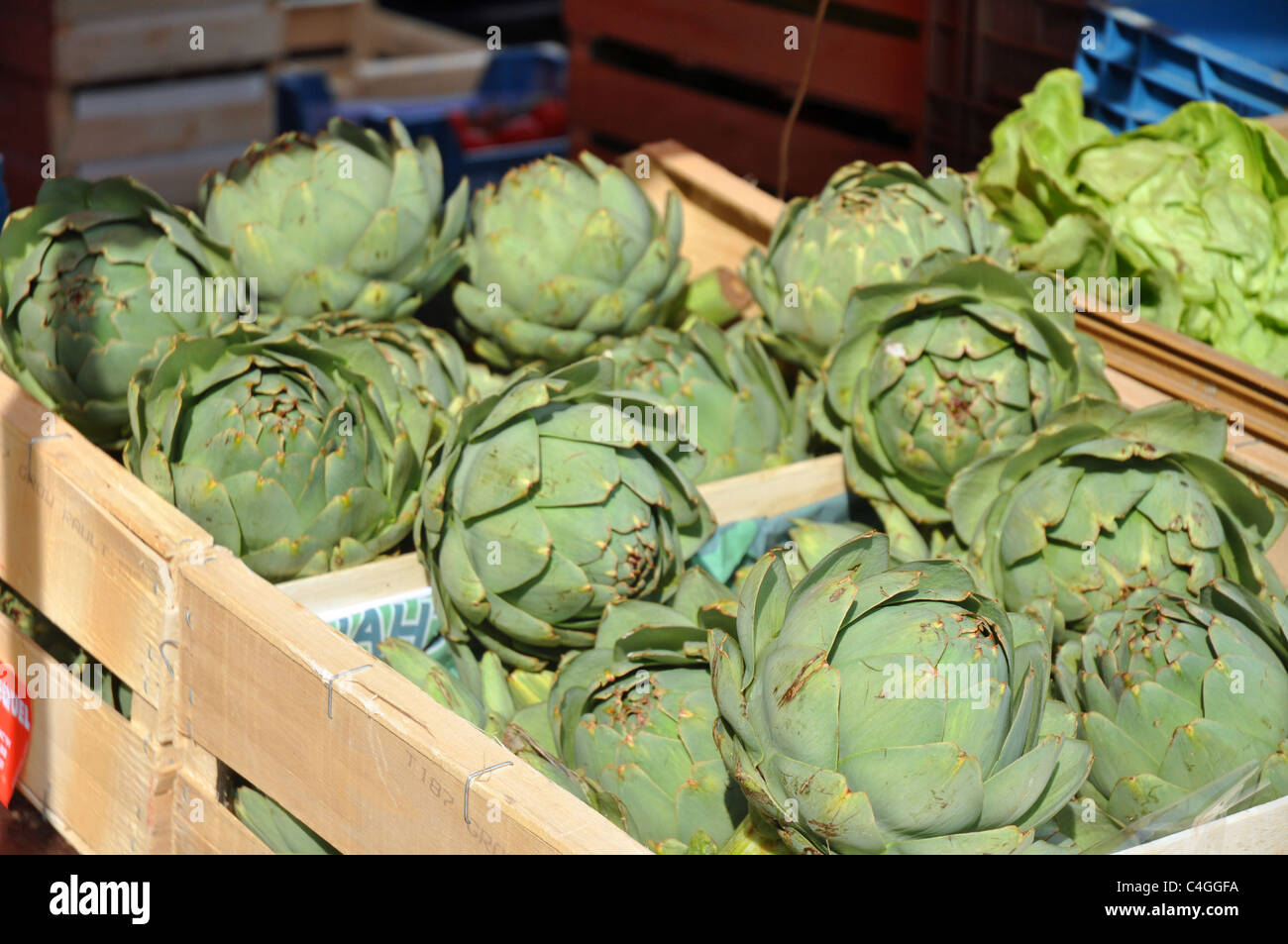 Artichoke for sale at market hi-res stock photography and images - Alamy