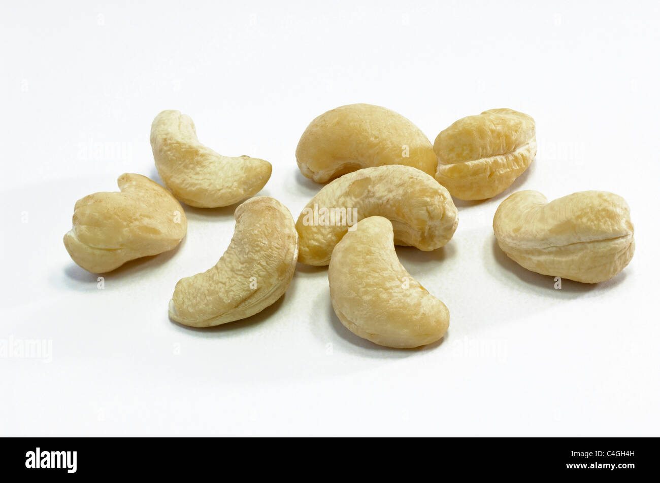 Cashew tree Cut Out Stock Images & Pictures - Alamy