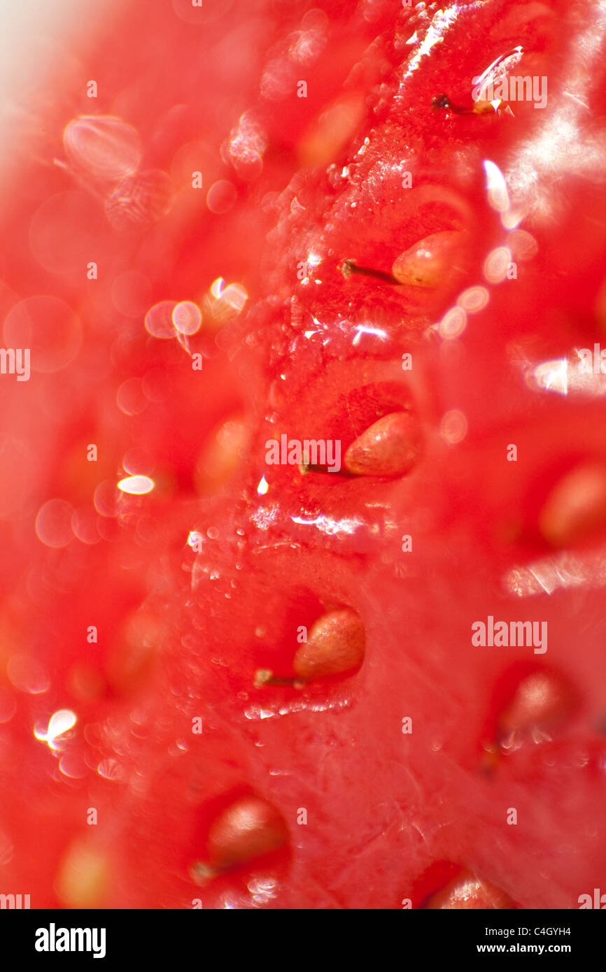 Strawberry detail hi-res stock photography and images - Alamy