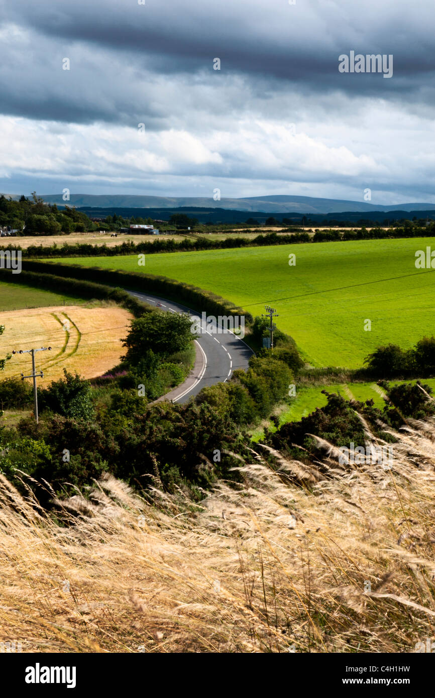Curved horizon field hi-res stock photography and images - Alamy