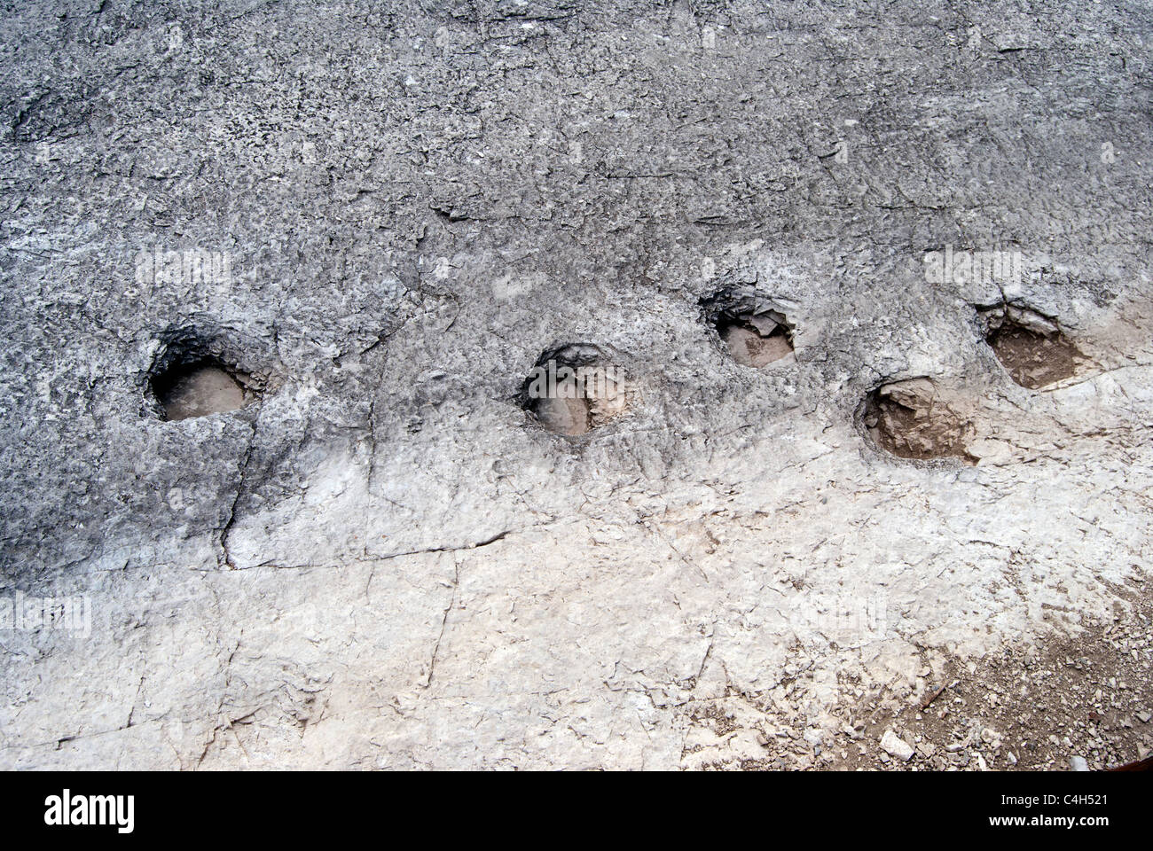 Real dinosaur footprint imprinted in the rock Stock Photo - Alamy
