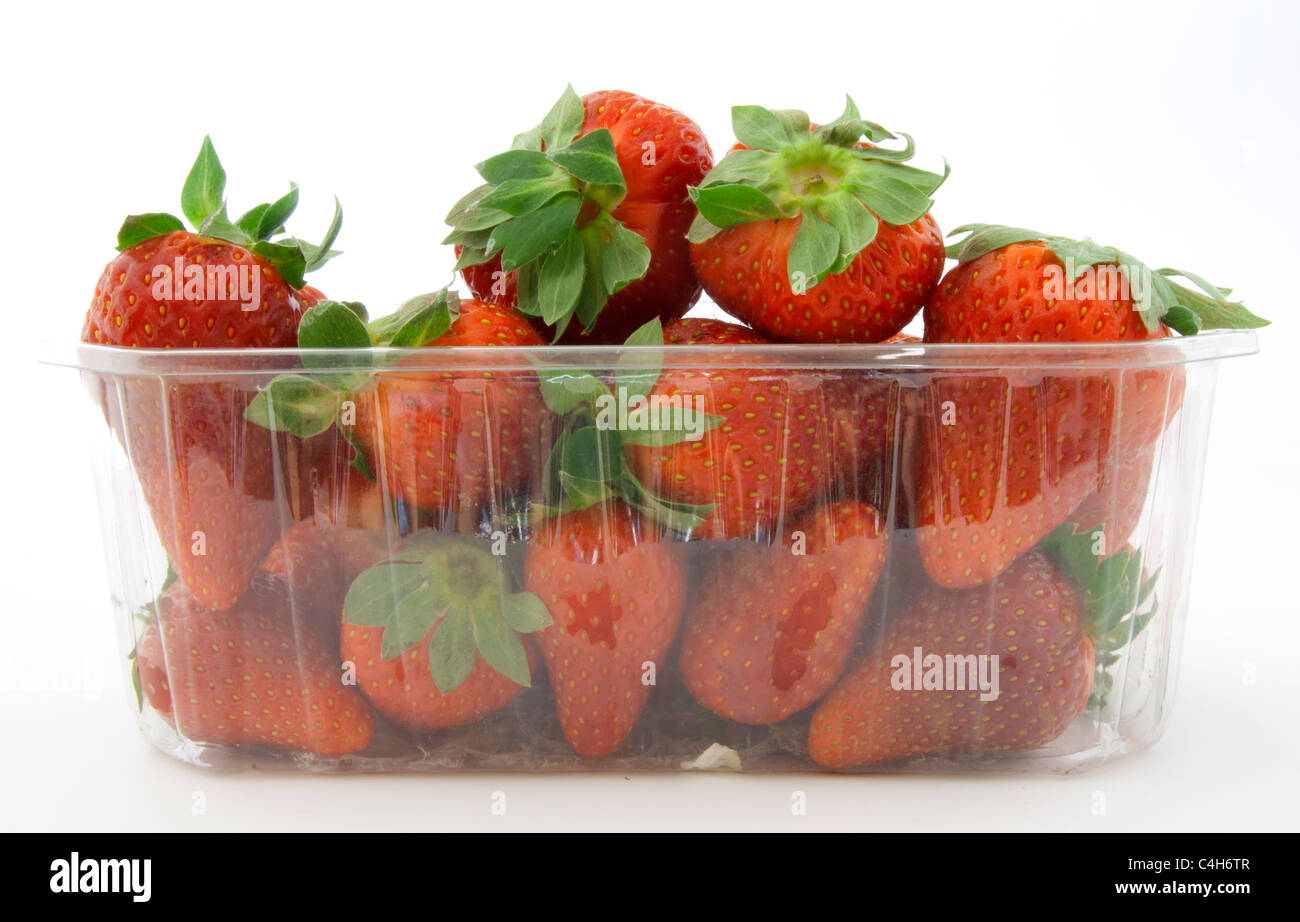 Basket of farm fresh strawberries isolated on white background Stock ...