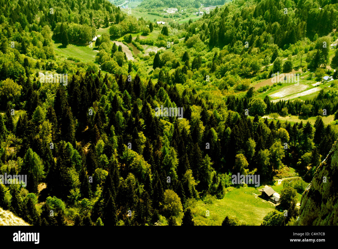 Great image looking out over the forests Stock Photo - Alamy