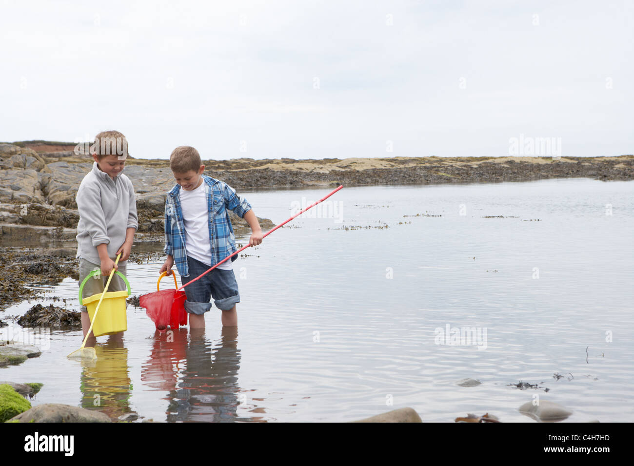 Collecting shells at the beach hi-res stock photography and images - Alamy