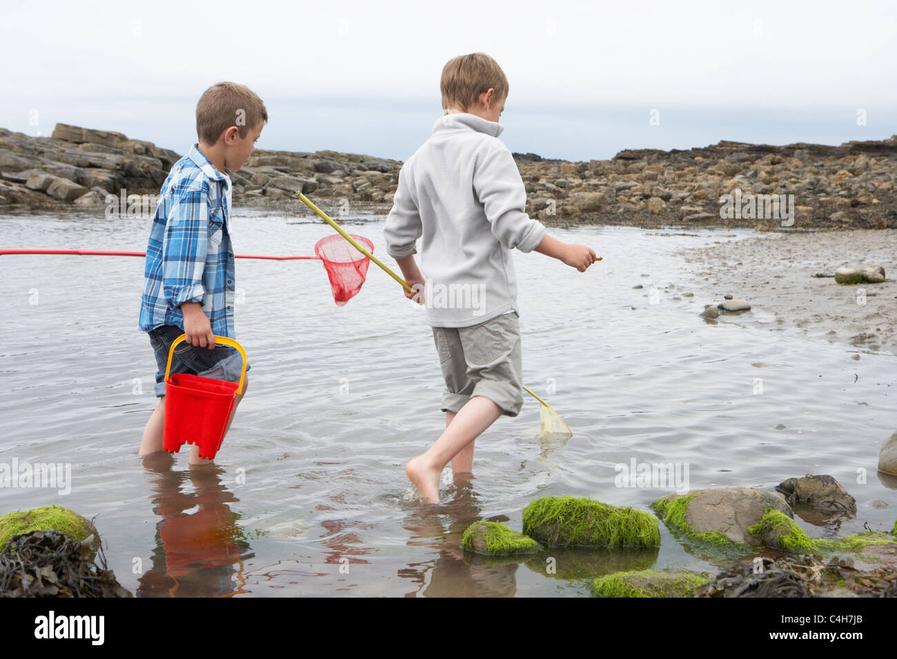 Two boys collecting shells on beach Stock Photo - Alamy