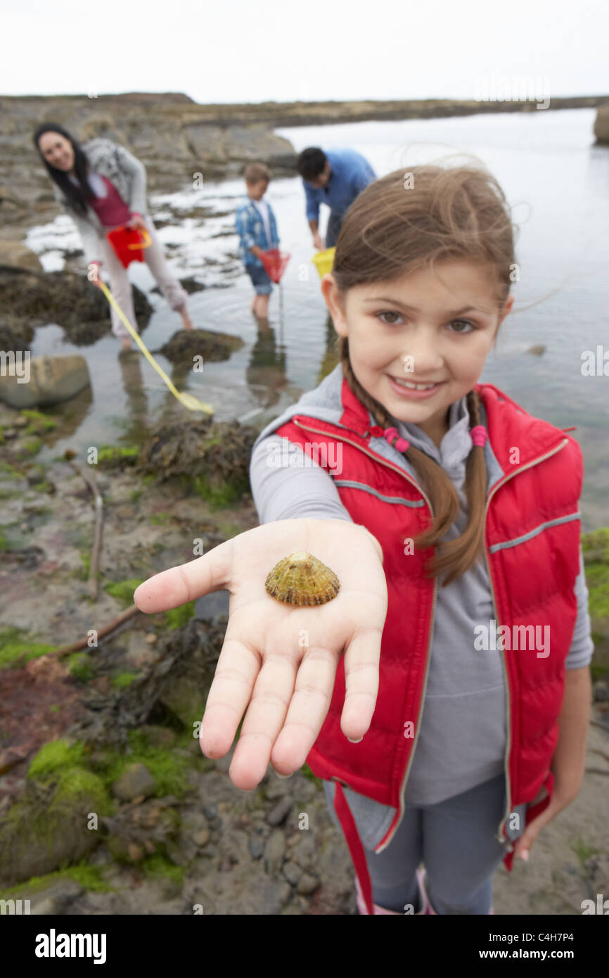 Young family at beach collecting shells Stock Photo - Alamy