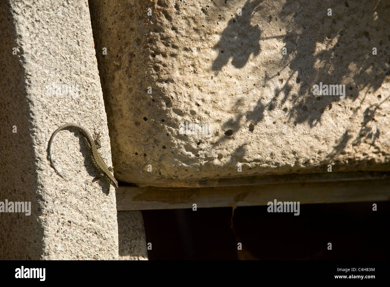 Tuscan garden hi-res stock photography and images - Alamy