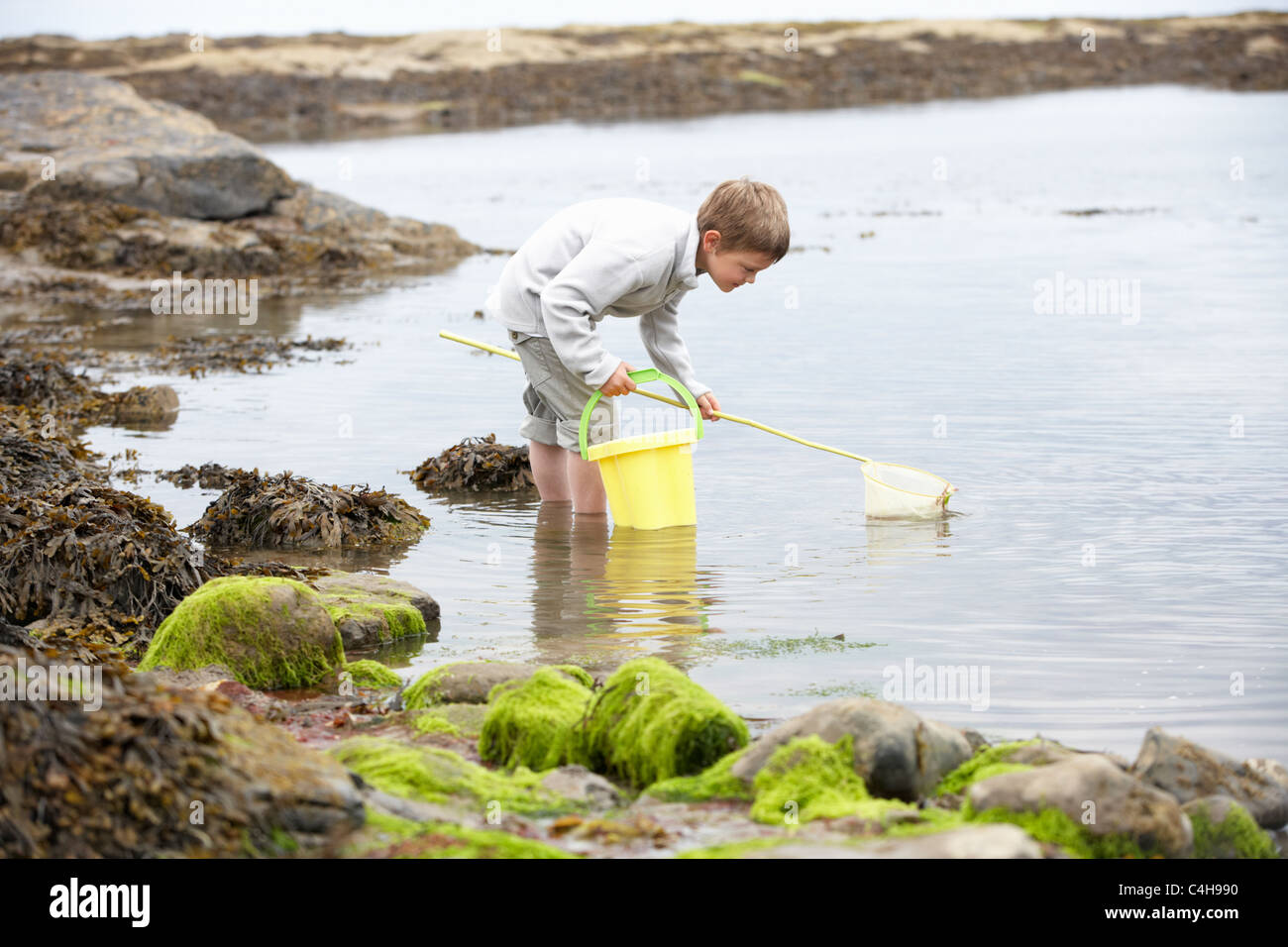 Boy on beach collecting shells Stock Photo - Alamy