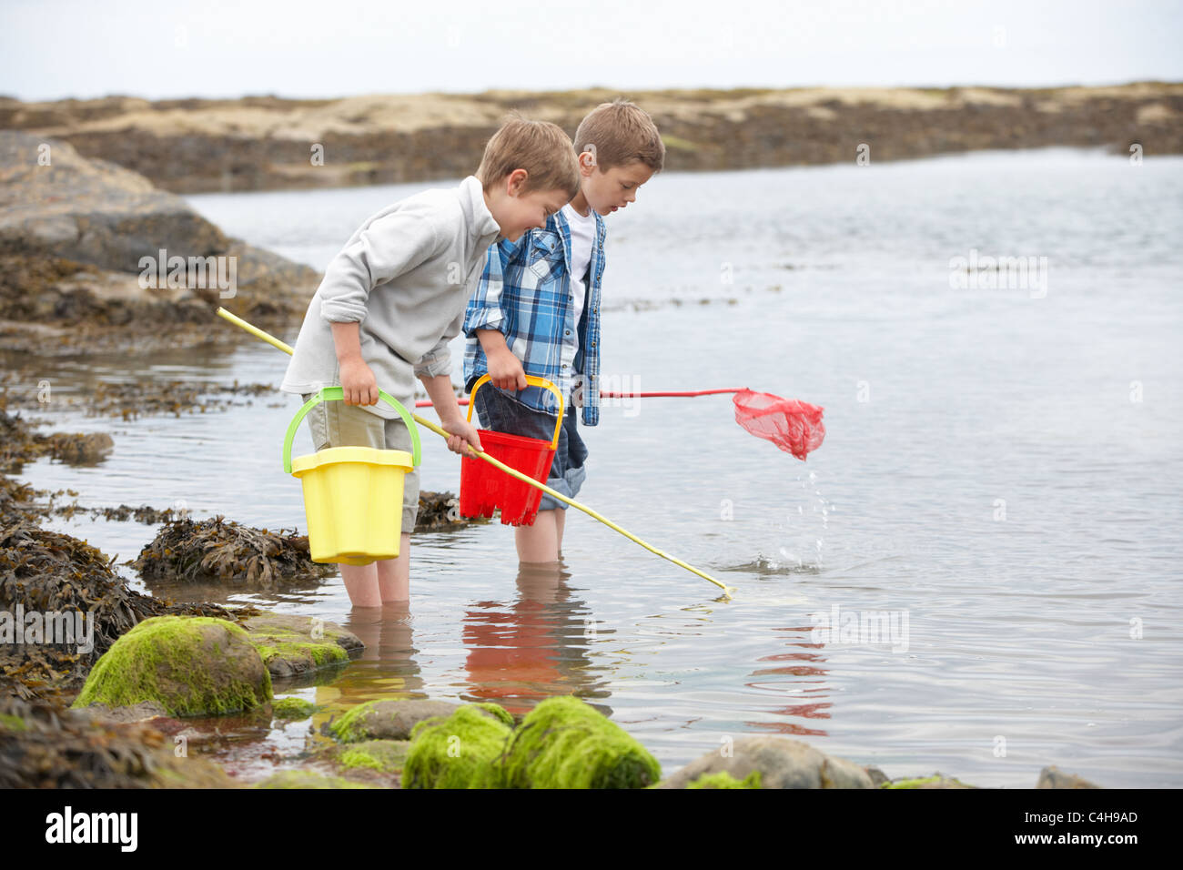 Collecting shells at the beach hi-res stock photography and images - Alamy