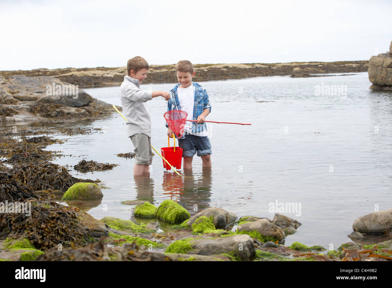 Collecting shells at the beach hi-res stock photography and images - Alamy