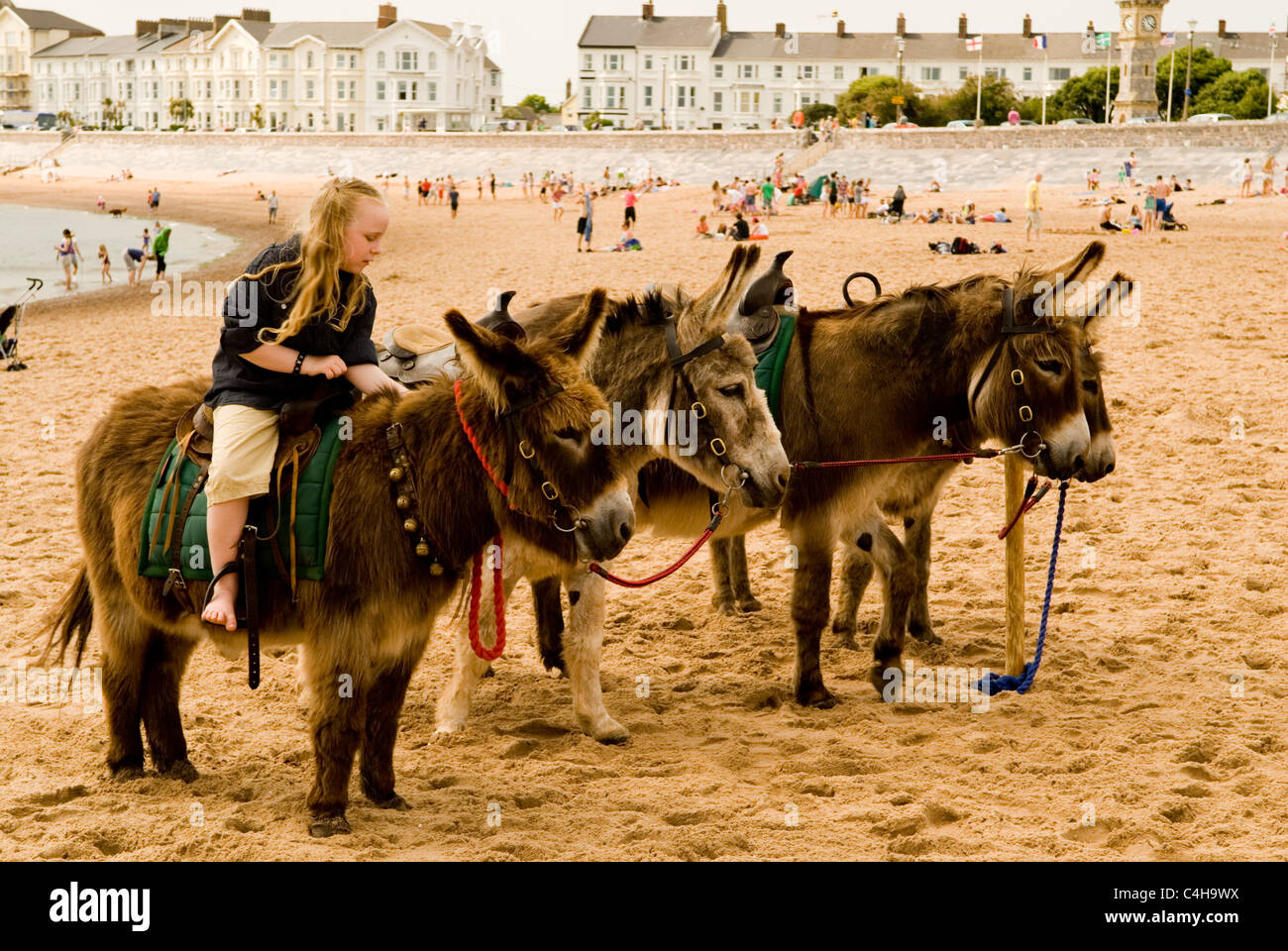 Donkey rides on Exmouth beach, Devon, England, UK Stock Photo - Alamy