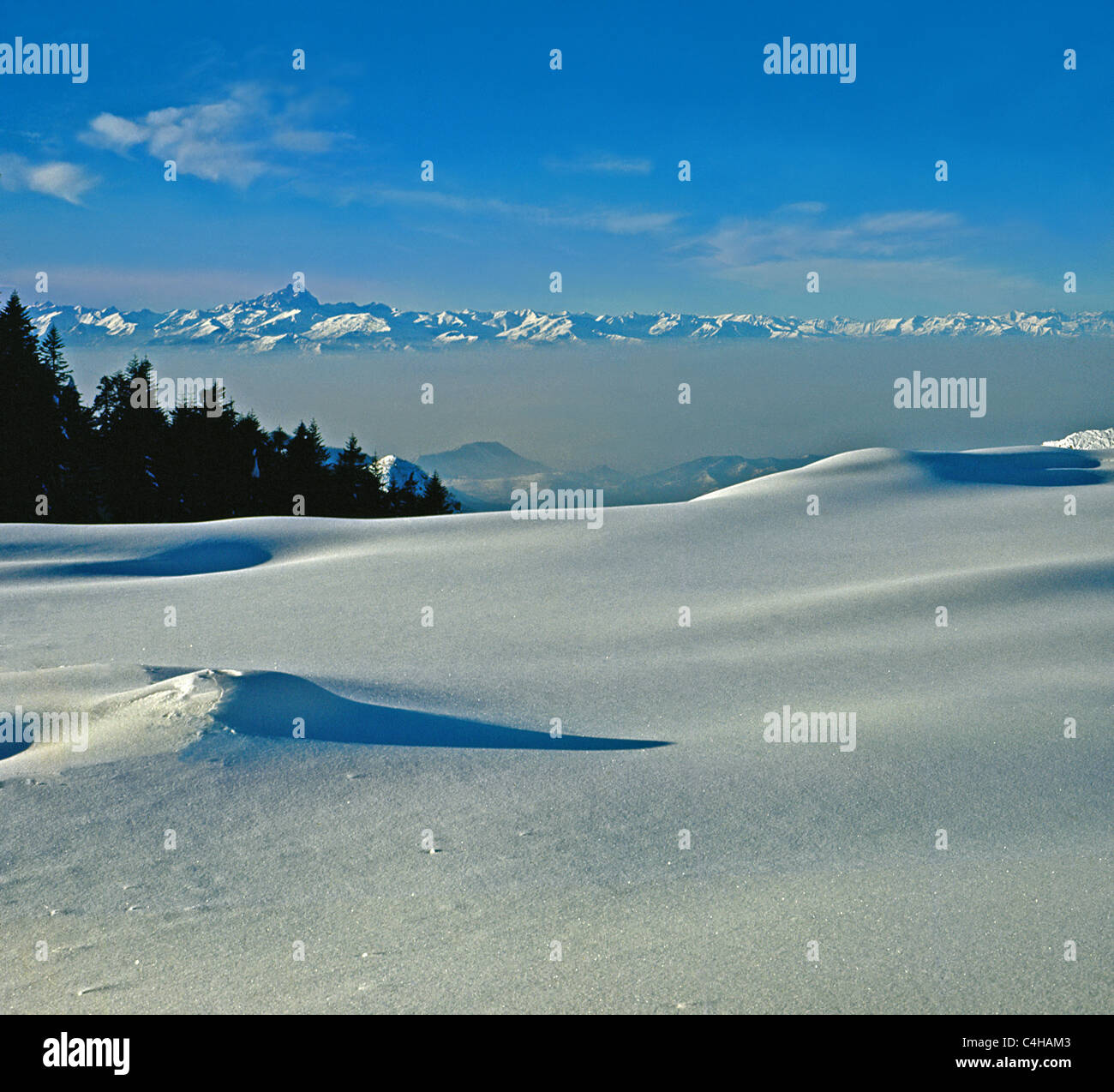 Piedmont Alps, the summit of Mount Viso in the background Stock Photo ...