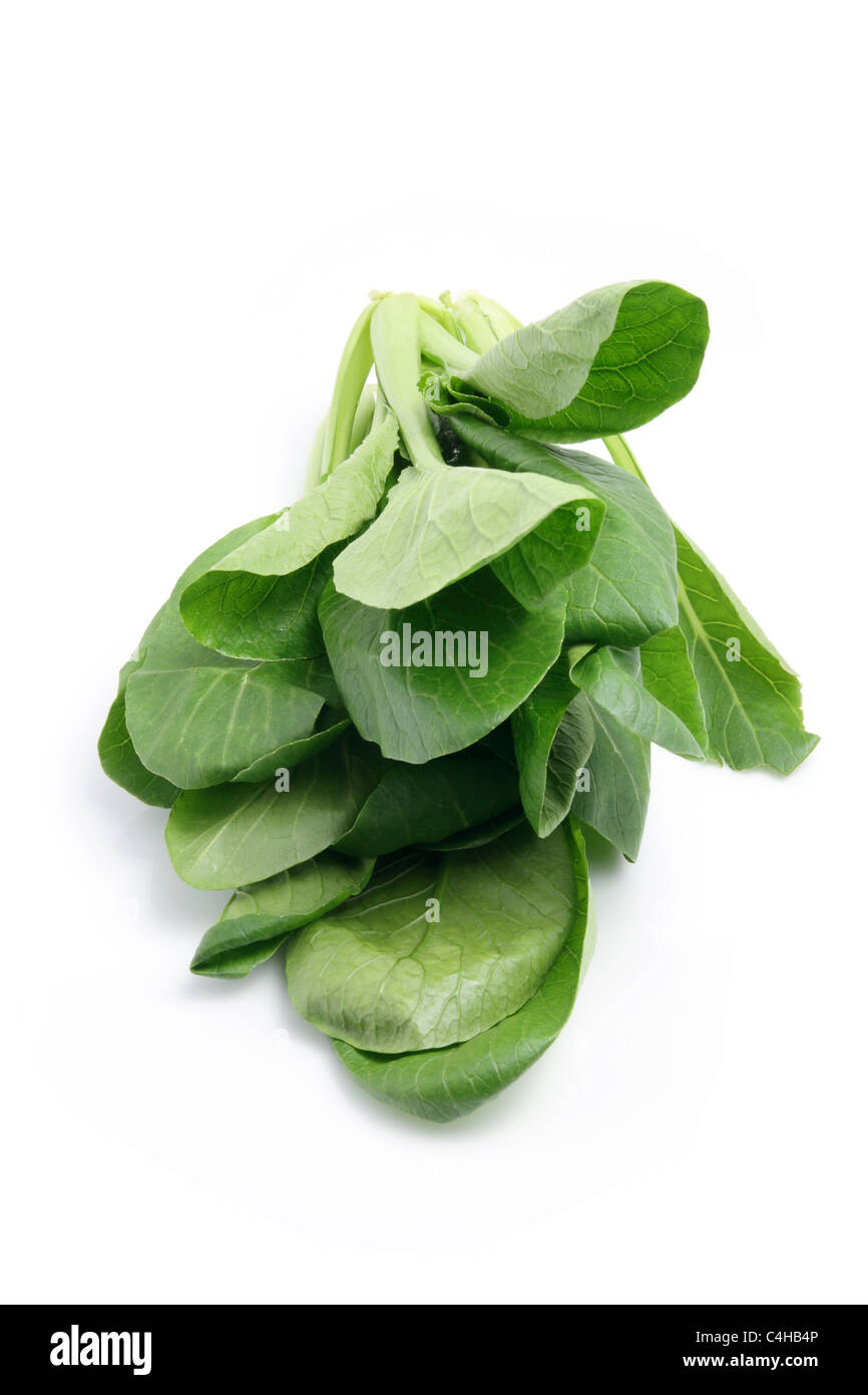 White choy sum hi-res stock photography and images - Alamy